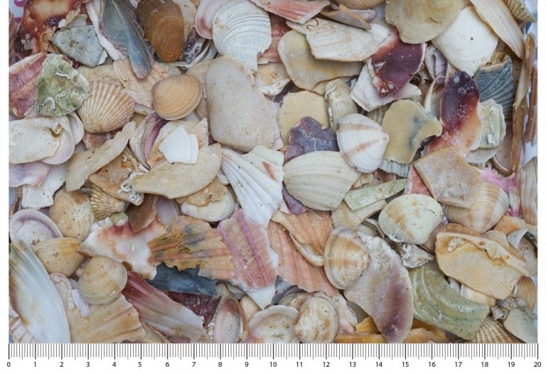 Concrete Shell - mccallumbros